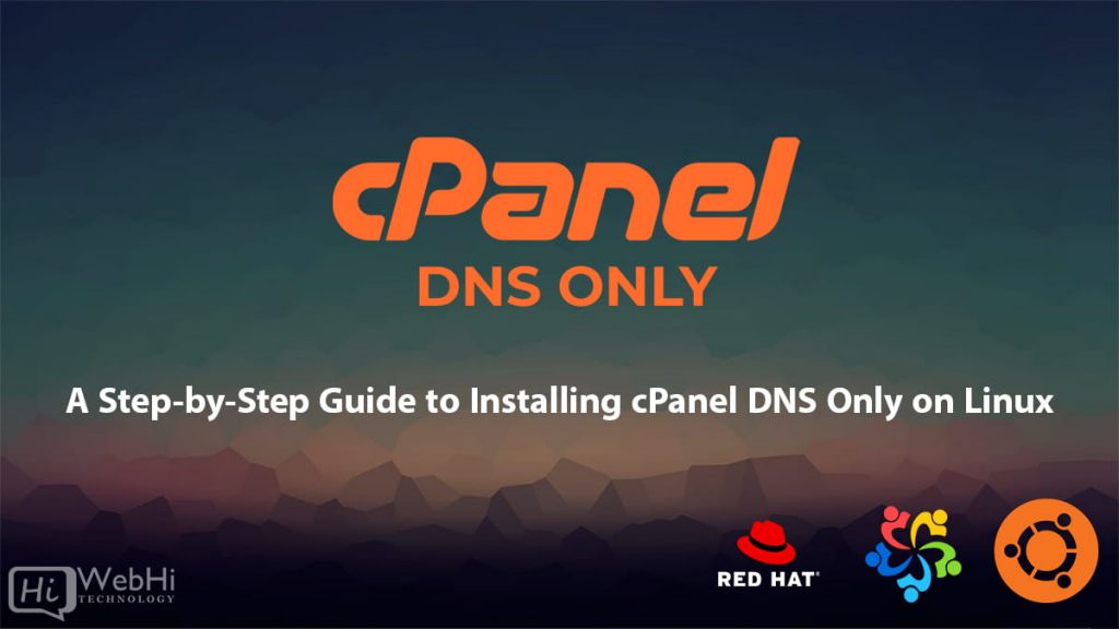 A Step By Step Guide To Install Cpanel Dns Only On Linux Tutorial And Documentation