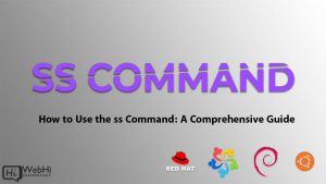 How to Use the ss command: A comprehensive Guide - Tutorial & Documentation